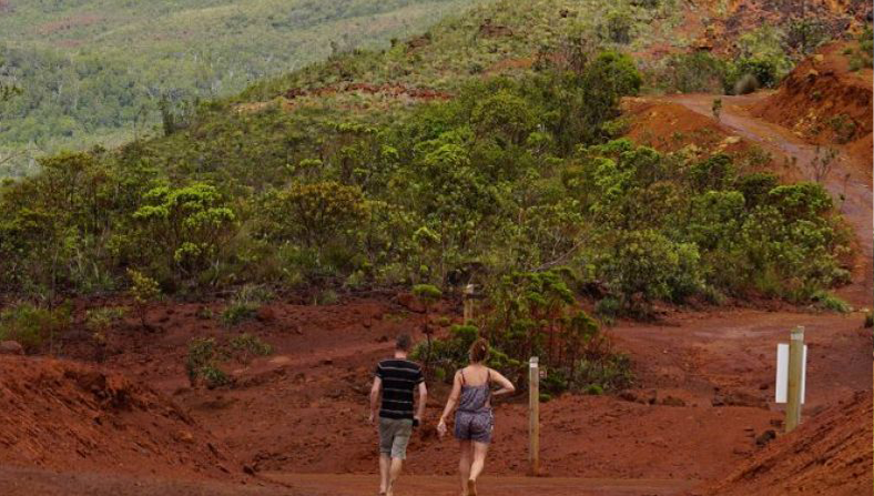 Les parcs : Pratiquer la randonnée, se promener, s'aérer. | Espace ...